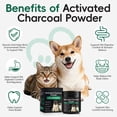 (2 Pack) Food Grade Pet Activated Charcoal Powder, Digestive Health ...