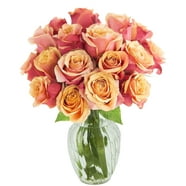Garden Roses Rainbow 36 Stems of Farmers Choice Choosen from Pink ...