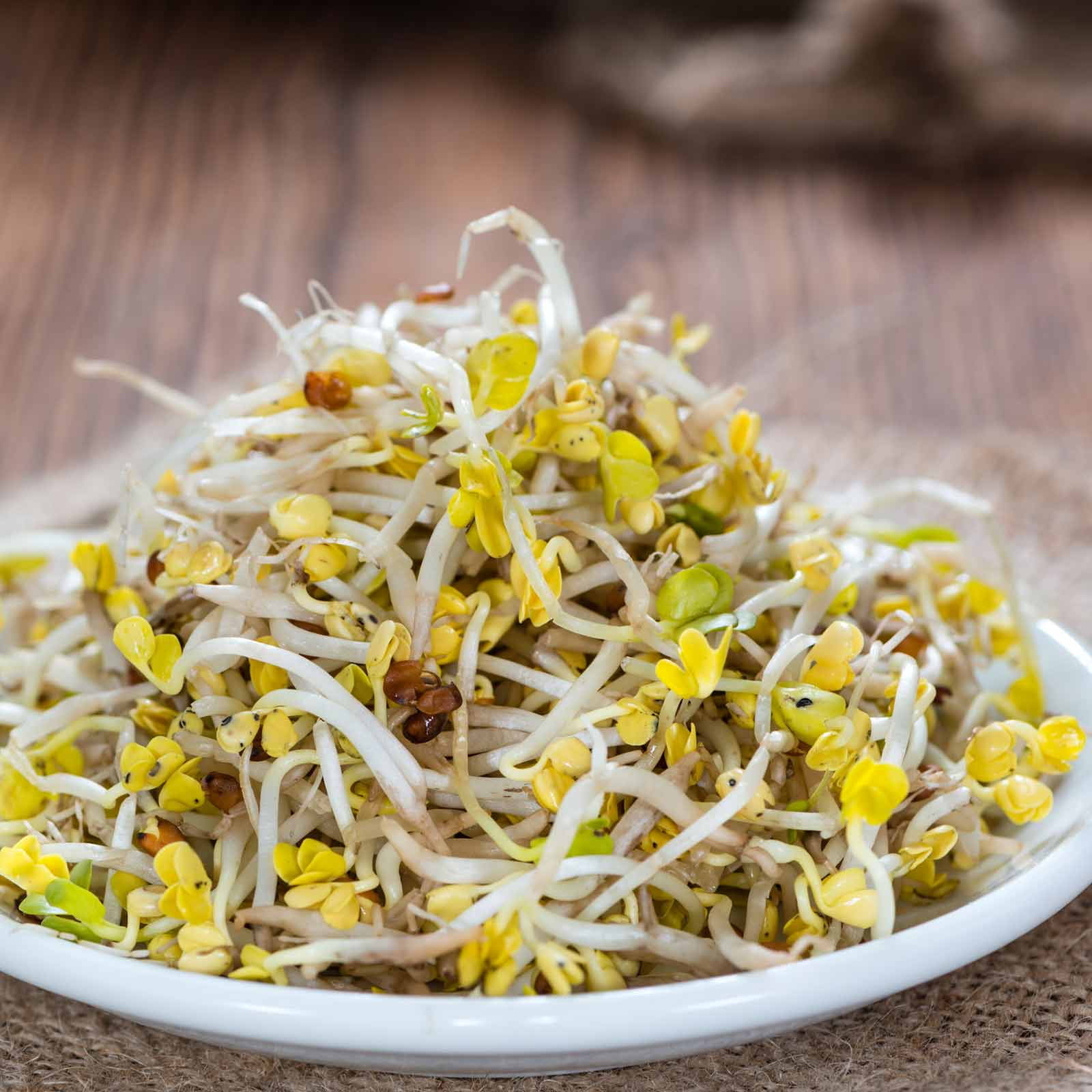 Sprout services - noredlondon