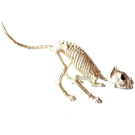 Halloween Bat Skeletons,Bones Ornament Cat Skeleton Scary Model Creepy Animal Skull Decoration ...