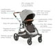 Contours Legacy Convertible 1-to-2 Grow-With-Me Stroller, Graphite Gray ...