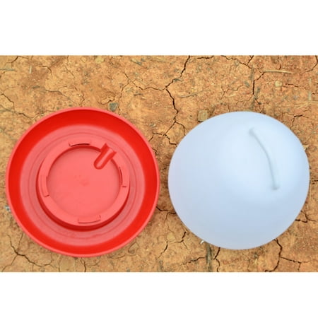 3L Bird Water Feeder Dome bird water dispenser; poultry Poultry Feeding ...