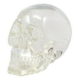 Ebros Clear Translucent Witching Hour Gazing Skull Statue 5.5" Long ...