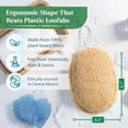 Natural Loofah Exfoliating Sponge (3 Pack) - Organic Loofah for Body ...