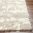 Hauteloom Dahl Living Room, Bedroom Area Rug - Plush Pile - Beige, Gray ...
