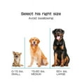 Tikaton Durable Dog Chew Toys Training Chewing Bone Shape Toys for ...