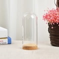 8/10/12cm Modern Handcraft Glass Dome Cover Dry Flower Vase With Wood ...