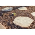 American Countryside Pea Gravel Multi-Color, Outdoor Decorative ...