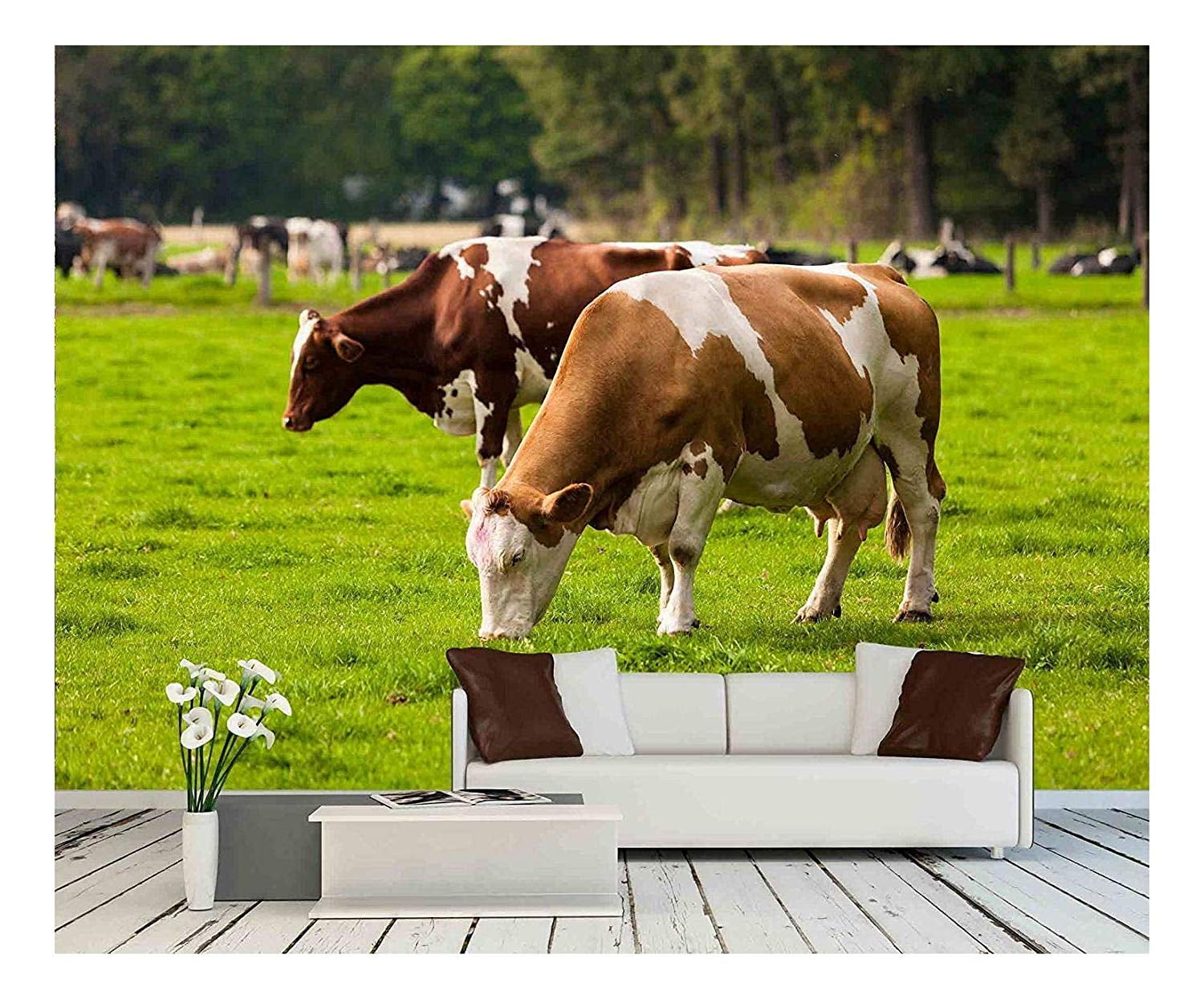 Wall26 Cows on Meadow.Grazing Calves - Removable Wall Mural | Self ...