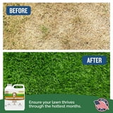 Turf Titan Drought Defender 32 oz, Advanced Lawn Care Shield, Liquid ...