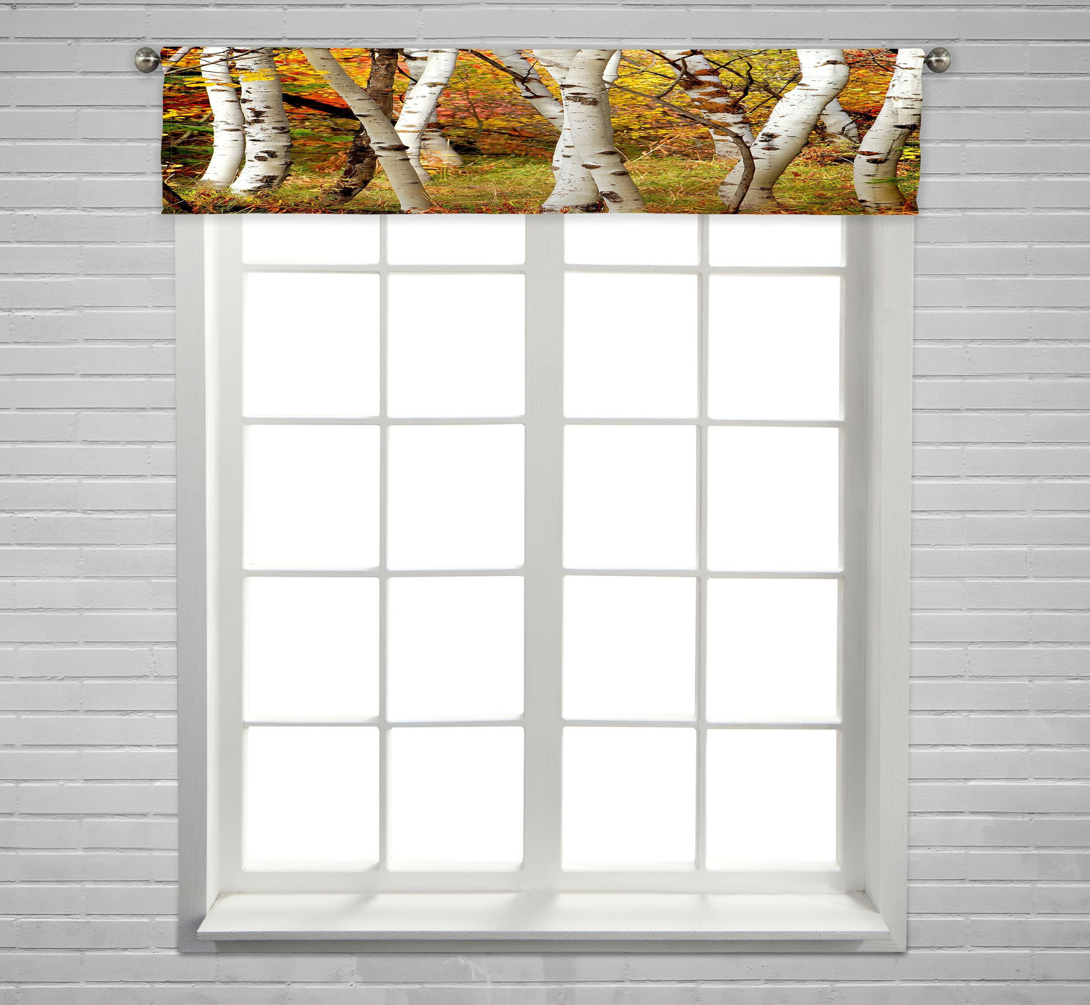 ABPHQTO White Fall Birch Trees With Autumn Leaves Window Curtain ...