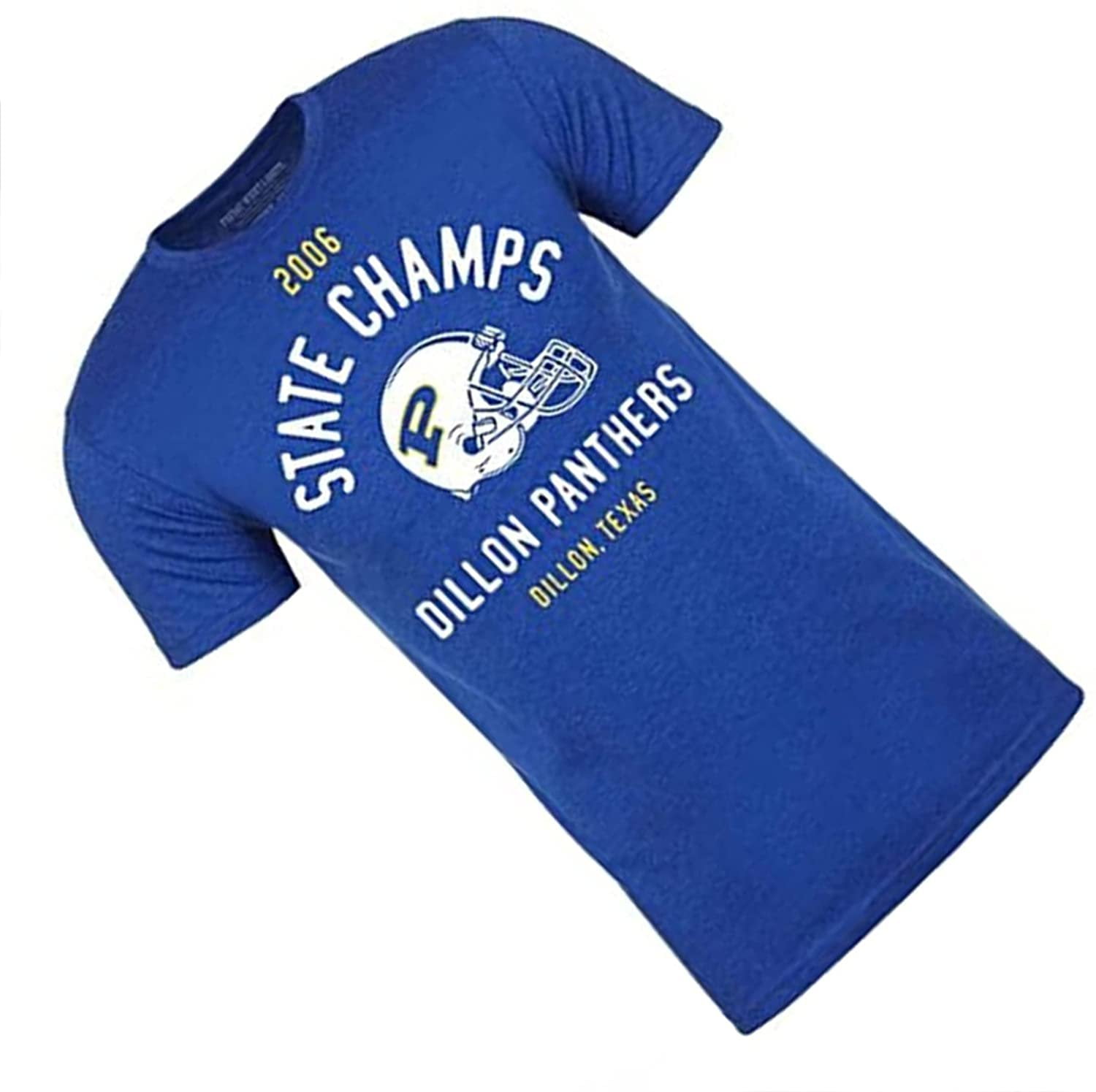 Dillon Panthers Logo P