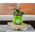 Care Bears Good Luck Bear 5-Inch Ceramic Mini Planter With Artificial ...