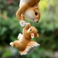 CaraMart Creative Resin Squirrel Statue Lifelike Resin Squirrel ...