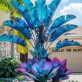 Giant Elephant Ear For Planting Ideal for Gardening Deer Resistant ...