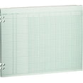 Wilson Jones Accounting Sheets 10 Columns 11 x 14 100 Loose Sheets/Pack ...