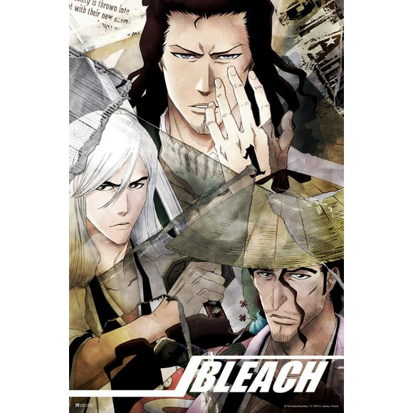 Bleach Anime Poster