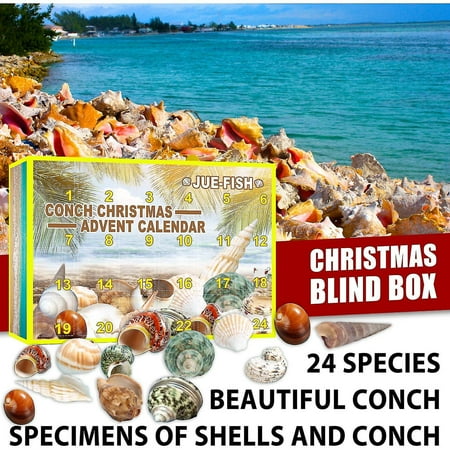 Jue-fish Christmas Conch Blind Box 24 Days Blind Box Holiday Gift Guess ...