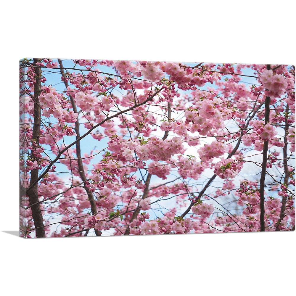 ARTCANVAS Spring Cherry Blossom Tree Home decor Canvas Art Print - Size ...