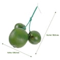 PTOOTP Fake Fruit Props Coconut 1 Set Round Plastic Realistic Tool And ...