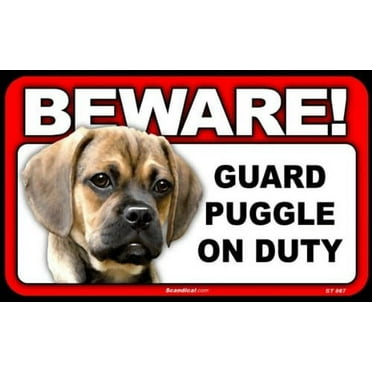 Beware Guard Dog On Duty Sign - Chihuahua (Long-Haired) - Walmart.com