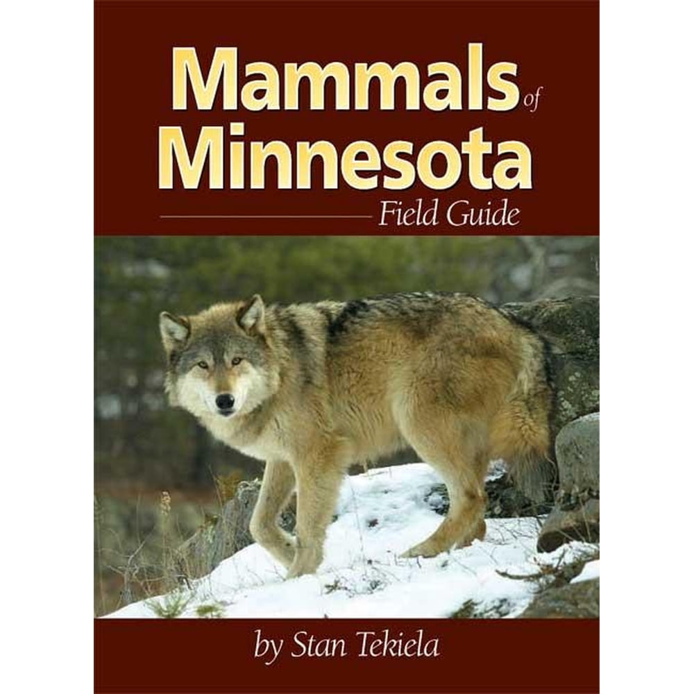 Mammal Identification Guides: Mammals of Minnesota Field Guide ...