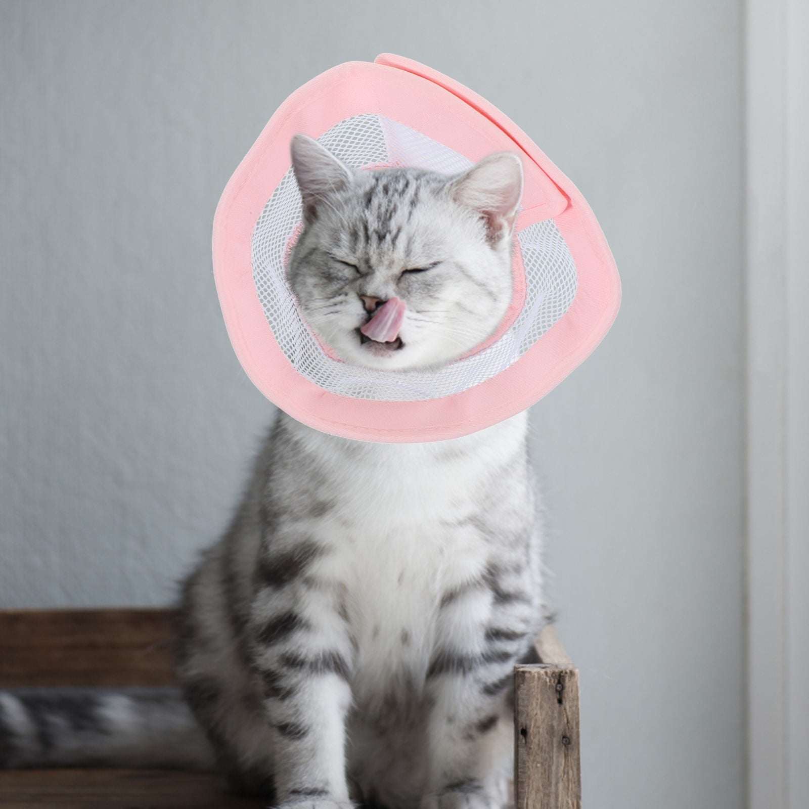 Click here for Aurarmlet Pet Collar Pink Pvc 1pack Anti-Licking R... prices