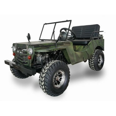 Coleman Powersports GK200 196cc 2 Seater Gas Powered Go-Kart, for Ages ...