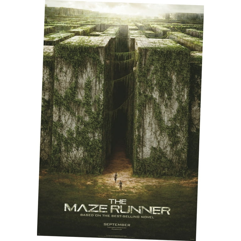 Maze Runner Poster The Maze Runner Movie Poster (2014) Poster