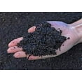 Biochar Pro Blend 10 lbs. Organic Soil Amendment - Walmart.com