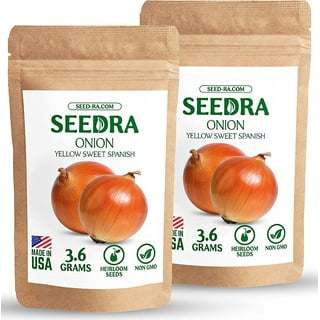 Onion Seeds - Red Baron Organic Variety Onion Seeds - Non-GMO - 50 ...