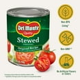 (2 pack) Del Monte Stewed Tomatoes with Onions, Celery and Green ...