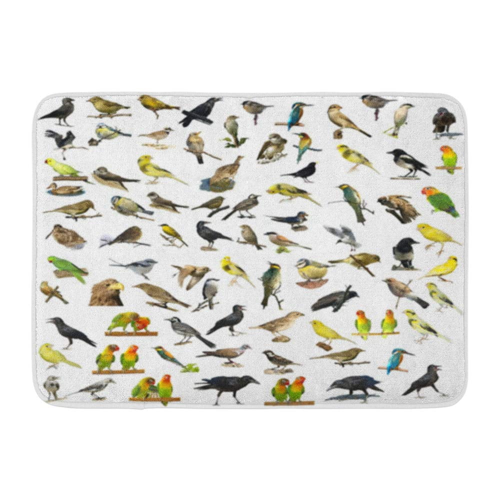 POGLIP Yellow Collection of 81 Photographs Birds Parrot Doormat Floor ...