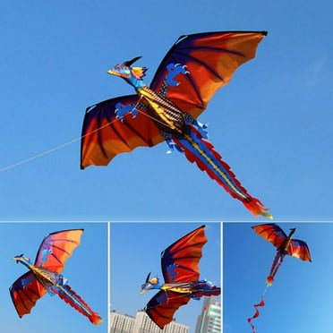 "GEXWORLDWIDE 54"" Fiery Dragon Kite for Kids and Adults - Weather ...
