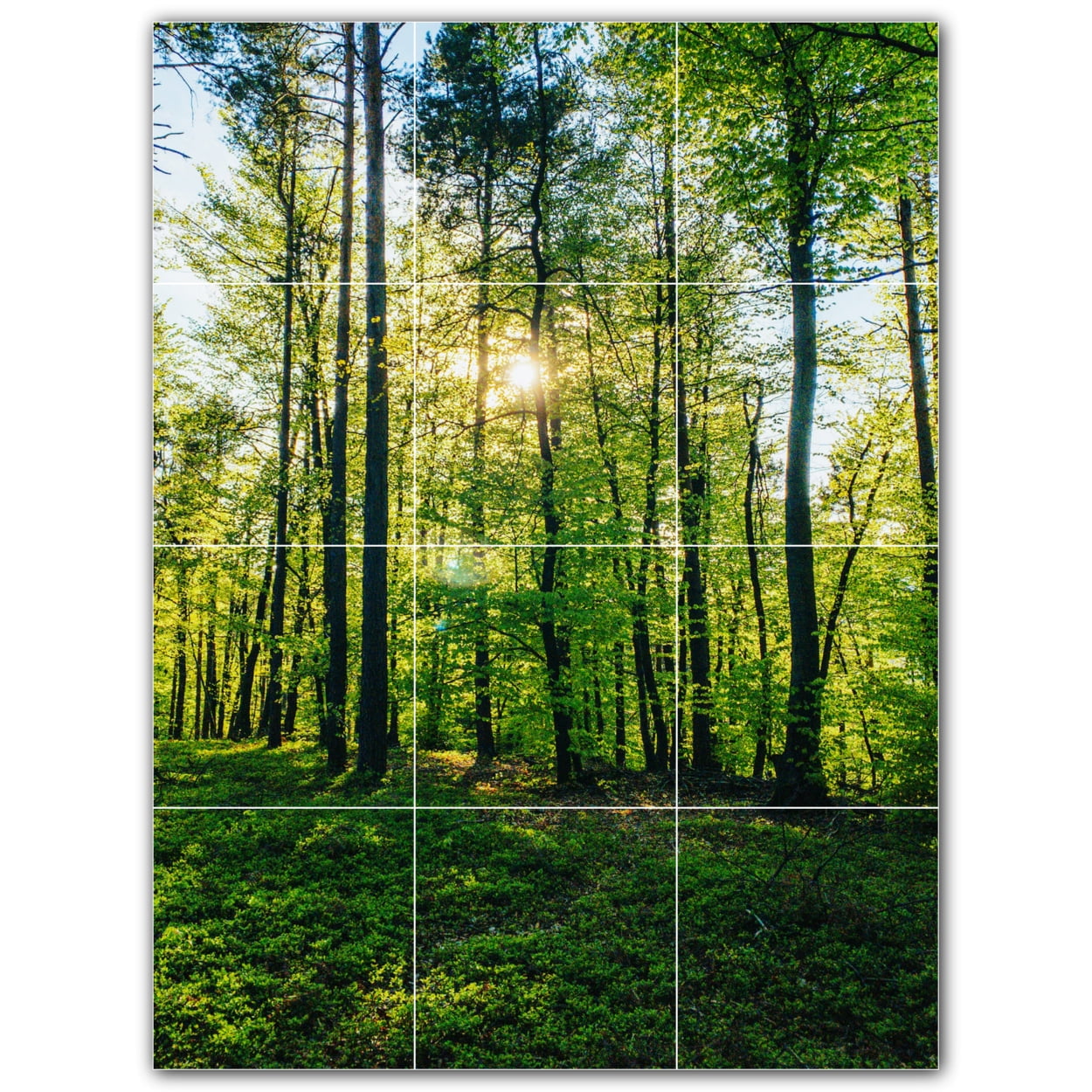 Picture-Tiles.com: Trees Ceramic Tile Wall Mural WAL501023-34L. 24"W x ...