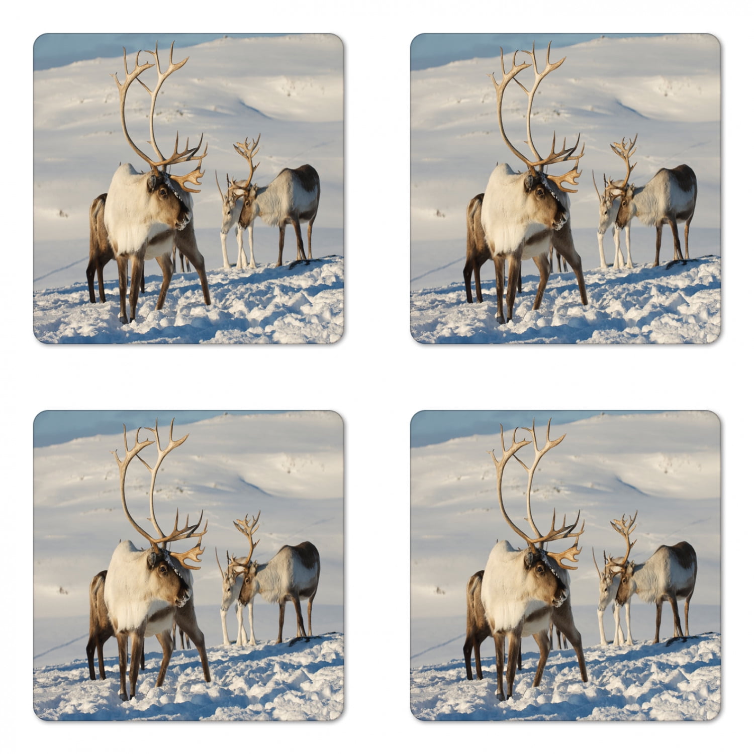 Winter Coaster Set of 4, Reindeers Natural Environment Tromso Northern ...