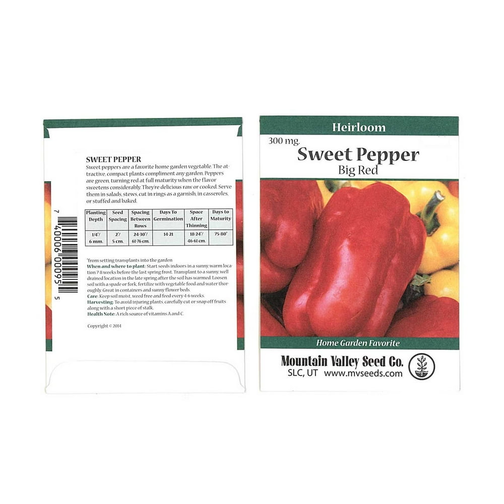 Big Red Sweet Pepper Garden Seeds - 300 mg Packet - Non-GMO, Heirloom ...
