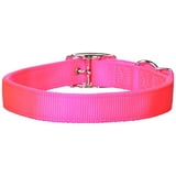 Hamilton 1" Double Thick Nylon Deluxe Dog Collar, 24" long, Hot Pink ...
