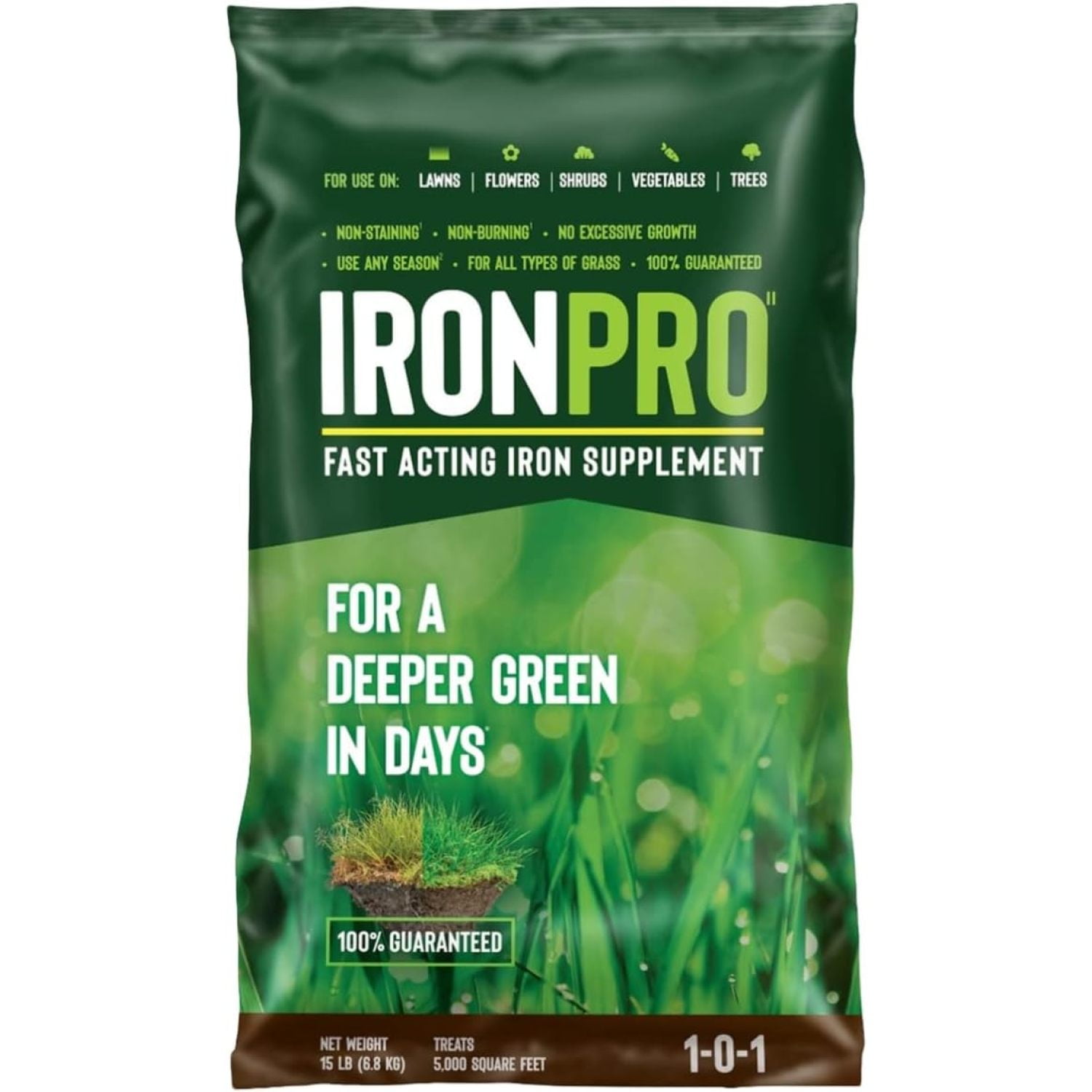Earth Science – Iron Pro Fast Acting Iron Supplement for Use on Lawns ...