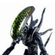 Grid Alien Figura de Acción Alienígena Xenomorfo Alienígenas vs ...