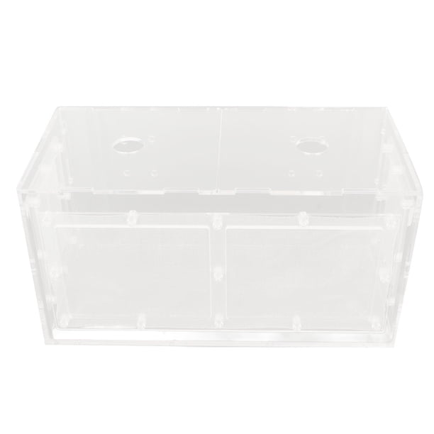 Fish Breeding Isolation Box,Fish Breeding Isolation Box Aquarium ...