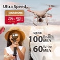 Gigastone 256GB Micro SD Card, 4K Game Pro, Nintendo Switch Compatible ...