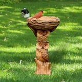 Fasiaou 9" Tall Outdoor Wood carving Birdbath with Bird Decoration Yard ...