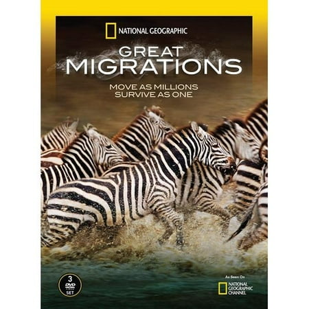 National Geographic: Great Migrations [DVD Box Set] | Walmart Canada