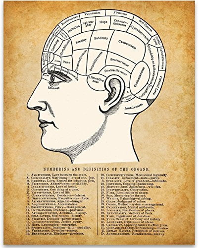 Phrenology Art Print - 11x14 Unframed Art Print - Great Gift for People ...