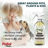 Prosol Works Floor Cleaner 16 oz - Floor Cleaning Spray for Tile, Wood ...