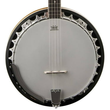 8-String Mandolin-Banjo Hybrid with White Jade Tuner Pegs & Rosewood ...