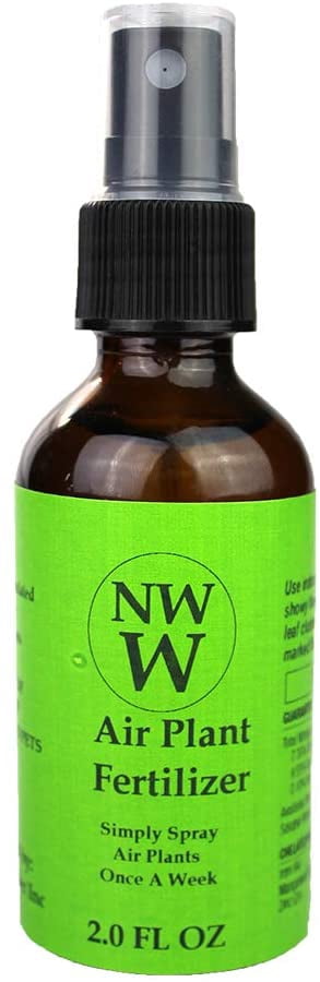 Live Tillandsia Air Plants with Air Plant Fertilizer Variety Pack of 12 ...