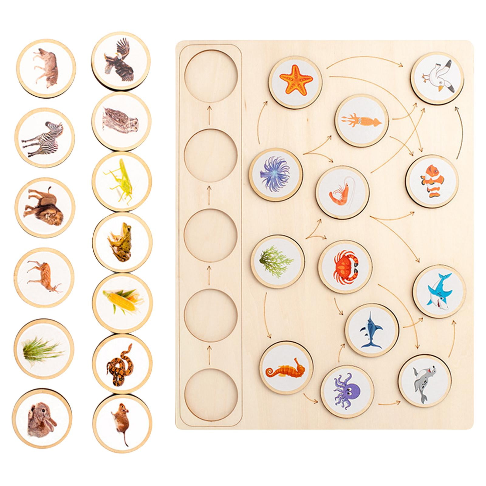 Montessori Toys Life Cycle Tray Matching Game, Education Early Learning ...