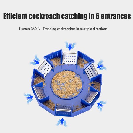 Cockroach Trap Box Insect Catching Case Cockroach Trap Box Tool Small ...